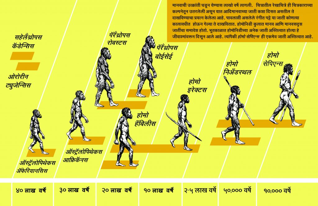 मानवाची उत्क्रांती (Evolution of Man) – मराठी विश्वकोश