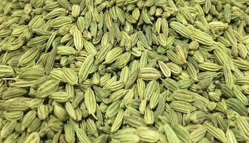बडीशेप (Fennel) – मराठी विश्वकोश