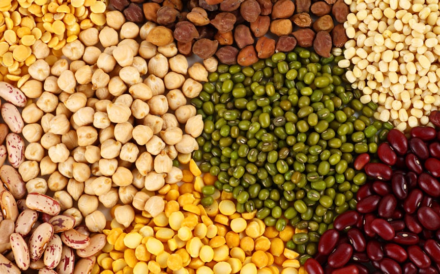 कडधान्ये (Pulses) – मराठी विश्वकोश
