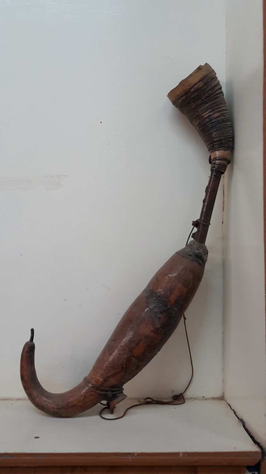 तारपा (Tarpa) – मराठी विश्वकोश