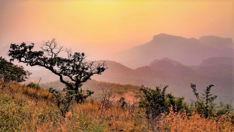 सातमाळा डोंगररांग (Satmala Hills) – मराठी विश्वकोश