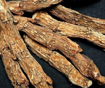 वेखंड (Sweet flag) – मराठी विश्वकोश