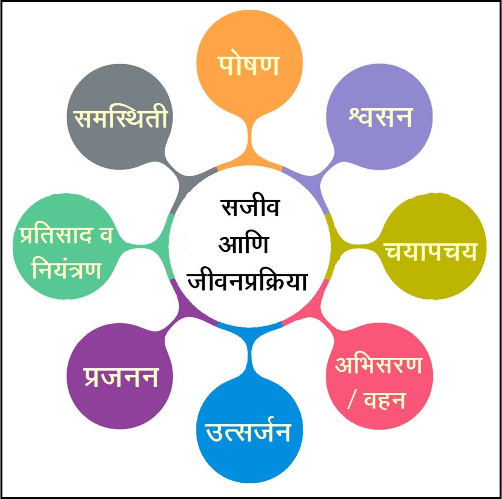 जीवनप्रक्रिया : नियंत्रण (Life process : Control) – मराठी विश्वकोश