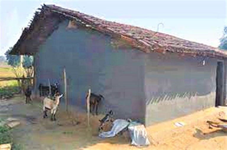 बगाटा जमात (Bagata Tribe) – मराठी विश्वकोश