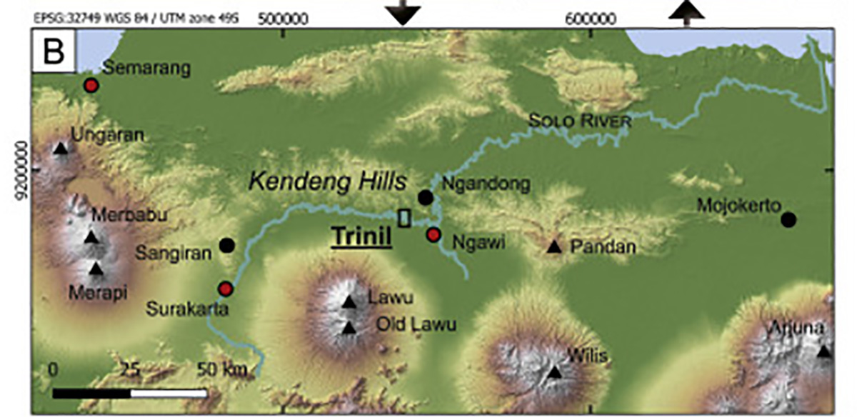जावा मानव (Java man) – मराठी विश्वकोश