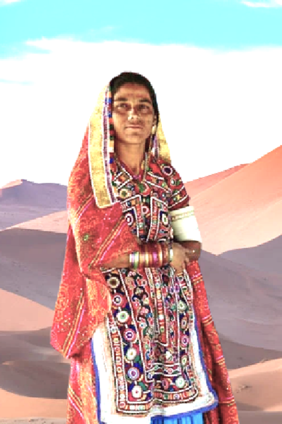 मीना जमात (Meena Tribe – Mina Tribe) – मराठी विश्वकोश